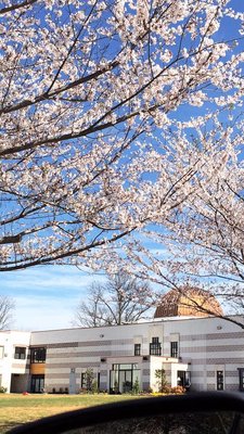 MUSLIM COMMUNITY CENTER - Updated January 2026 - 36 Photos - 15200 New ...