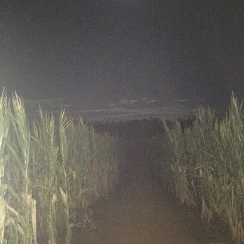 MAPLE LANE FARMS & CORN MAZE - Updated December 2025 - 29 Photos & 10 ...