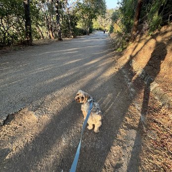 WILACRE PARK - Updated December 2025 - 446 Photos & 177 Reviews - 3431 ...