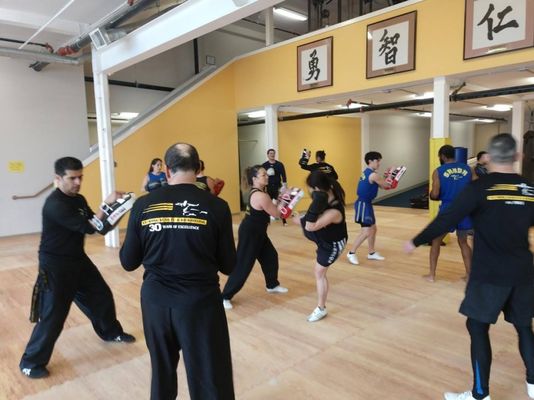 TAT WONG KUNG FU ACADEMY - Updated February 2026 - 52 Photos & 39 ...