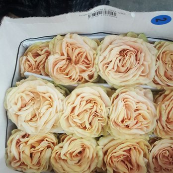MAYESH WHOLESALE FLORIST - Updated October 2025 - 17 Photos & 11 ...