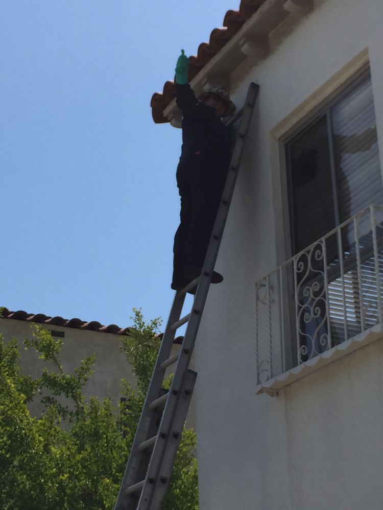 AMERICAN STRUCTURAL PEST CONTROL WEST - 23 Photos & 47 Reviews - Pest ...