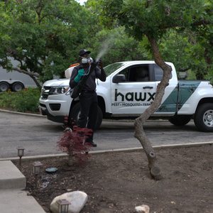 FRONTLINE PEST CONTROL - Updated April 2025 - 14 Photos & 75 Reviews ...