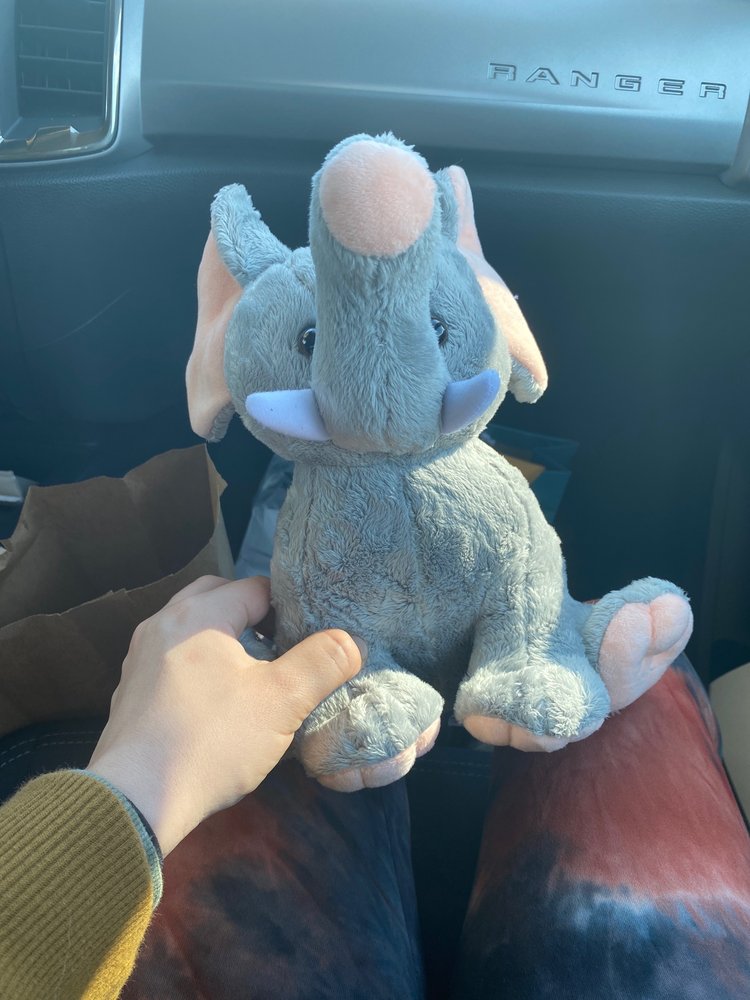 BABIES FIRST GLANCE 3D/4D & GENDER ULTRASOUNDS - Updated December 2025 ...