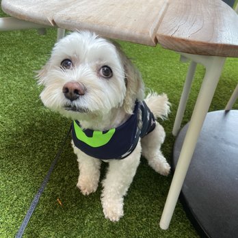 THE WILSON - Updated October 2025 - 154 Photos & 107 Reviews - 225 ...