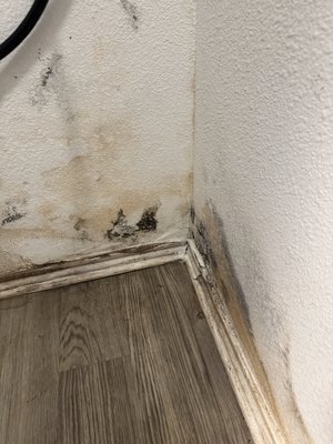 A & A APPLIANCE LEASING - Updated January 2026 - 61 Photos & 159 ...