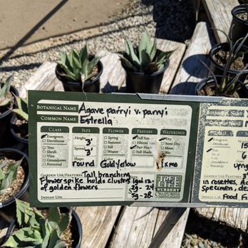 TREE OF LIFE NURSERY - Updated January 2026 - 110 Photos & 68 Reviews ...