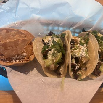 SCHUSSBOOM BREWING - Updated April 2024 - 733 Photos & 392 Reviews ...