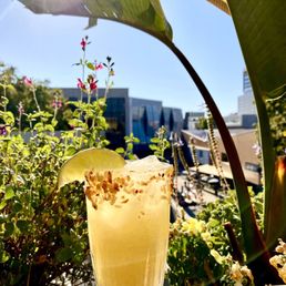 DARLING AVIARY - Updated August 2025 - 908 Photos & 754 Reviews - 712 K ...