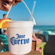 WINDJAMMER SURF BAR - 172 Photos & 97 Reviews - Sports Bars - 321 ...