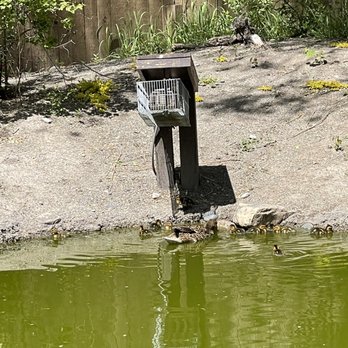 TRACY AVIARY Salt Lake City, UT - Updated November 2024 - 511 Photos ...