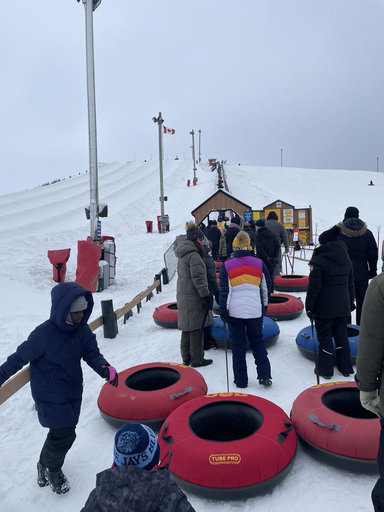 GEORGINA ROC - Updated September 2025 - 10 Photos - Civic Centre Rd ...