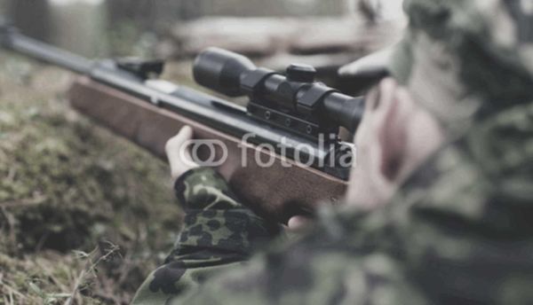 WILLIAMS GUN SIGHT COMPANY - Updated August 2025 - 25 Photos & 44 ...