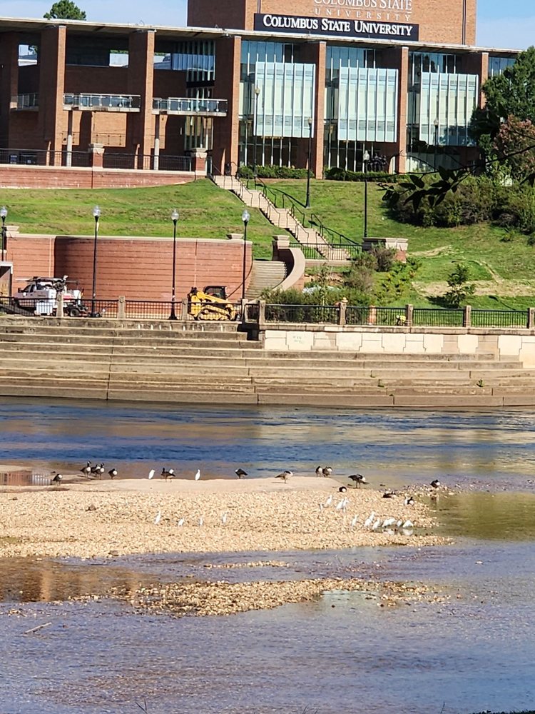 COLUMBUS STATE UNIVERSITY - Updated January 2026 - 11 Photos - 4225 ...