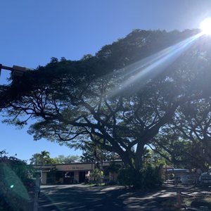 PROJECT DANA - Updated October 2025 - Request Information - 902 ...