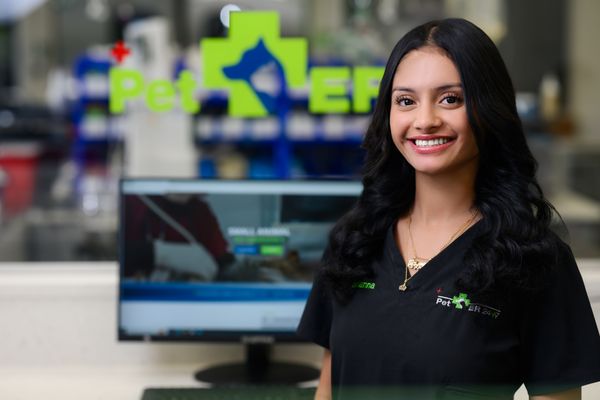 PET ER - Updated November 2025 - 44 Photos & 16 Reviews - 60 Ny-25a ...