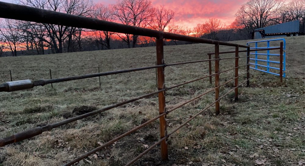 GRAYSON FENCING - 10 Photos - Dixon, MO - Yelp