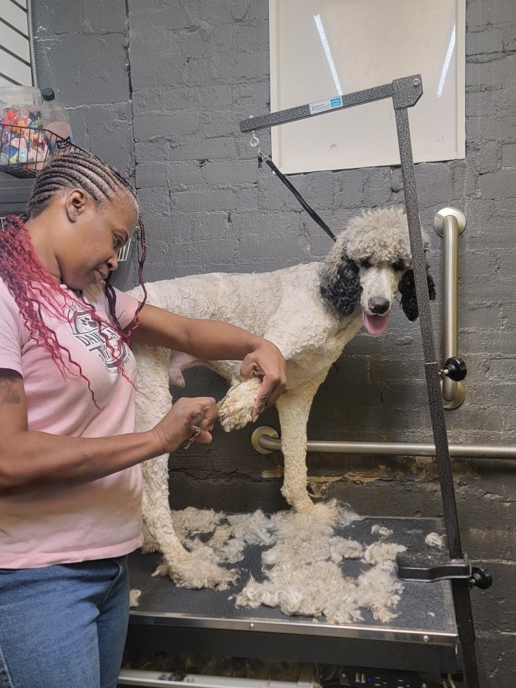 DAWG TEAM APPAREL USA - 194 Photos & 11 Reviews - 420 N Cleveland St ...