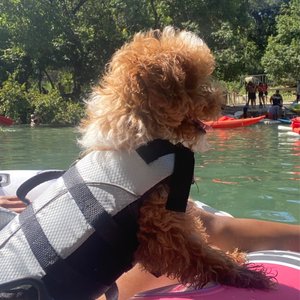 ROCKIN’ R RIVER RIDES - 93 Photos & 148 Reviews - 1405 Gruene Rd, New ...