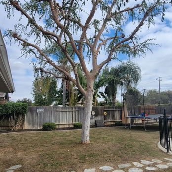 RANCHO TREE SERVICE - Updated November 2024 - 37 Photos & 34 Reviews ...