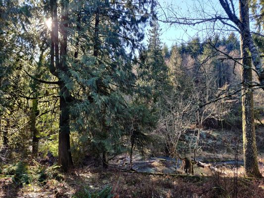 CHEHALEM RIDGE NATURE PARK - Gaston, OR - 23 Photos - Hiking - Yelp