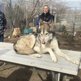 Wolf Mountain Sanctuary - 392 Photos & 142 Reviews - Animal Shelters ...