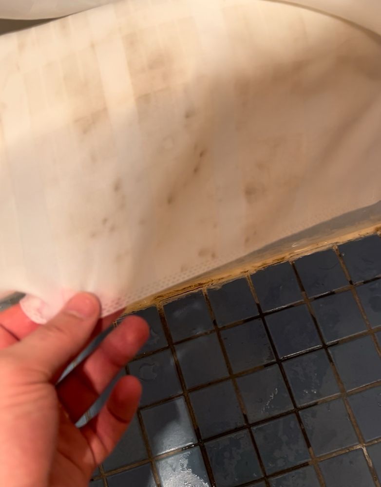 THE ANGELO INN - Updated January 2026 - 54 Photos & 32 Reviews - 313 E ...