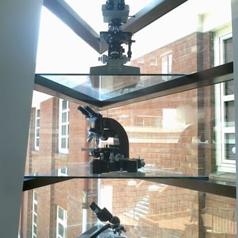 IMVS PATHOLOGY - Updated December 2025 - Frome Rd, Adelaide South ...