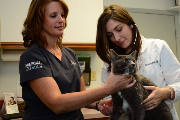 ROSEVILLE VETERINARY CLINIC - Updated October 2025 - 57 Photos & 12 ...