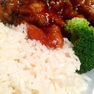 WINNER CHINESE RESTAURANT - 10 Photos & 25 Reviews - Chinese - 2657 Rte ...