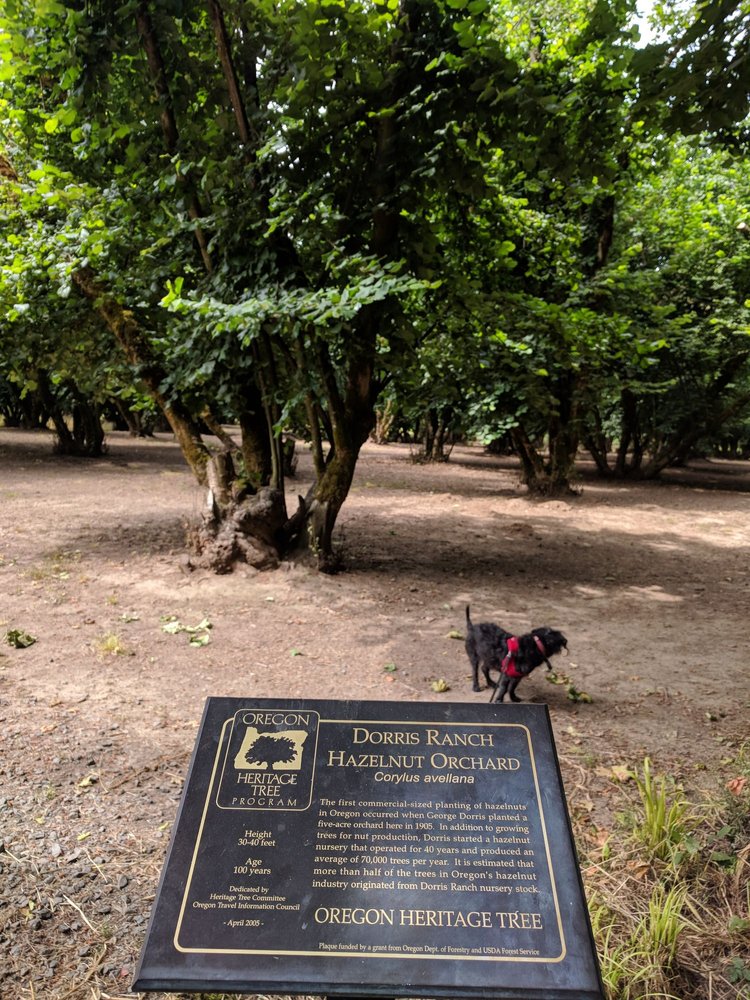 DORRIS RANCH - 35 Photos & 13 Reviews - South 2nd & Dorris Streets ...