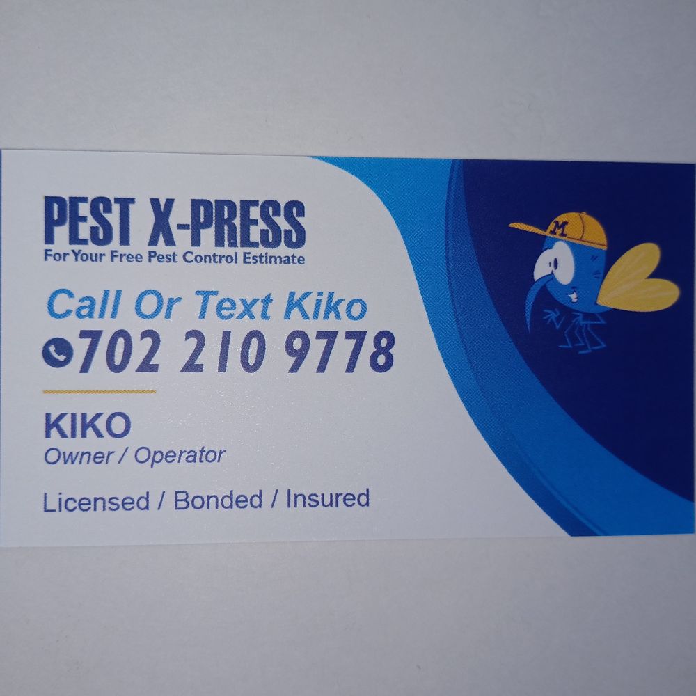 PEST X-PRESS - Updated July 2025 - Las Vegas, Nevada - Pest Control ...