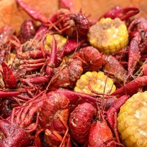 CAROL STREAM PUBLIC LIBRARY - Updated December 2025 - 57 Photos & 15 ...