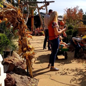 VIOLA’S FLOWER GARDEN - Updated August 2025 - 134 Photos & 56 Reviews ...