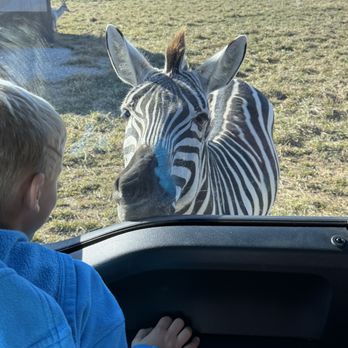 WILSTEM - Updated December 2025 - 354 Photos & 89 Reviews - 4229 W US ...