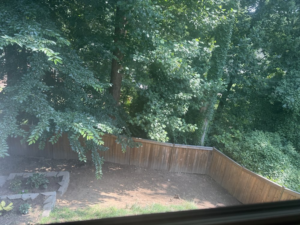 SPIRIT LANDSCAPING - Updated December 2025 - 79 Photos & 28 Reviews ...