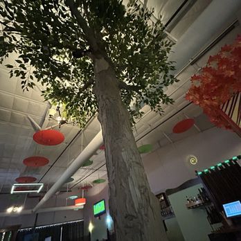 ASAHI - Updated December 2025 - 50 Photos & 58 Reviews - 1298 Lonnie ...