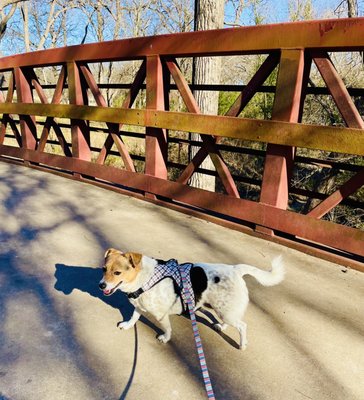 DITTMAR RECREATION CENTER - Updated November 2025 - 16 Photos & 17 ...