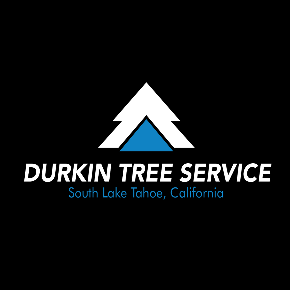 DURKIN TREE SERVICE - Updated August 2024 - 27 Photos & 29 Reviews ...