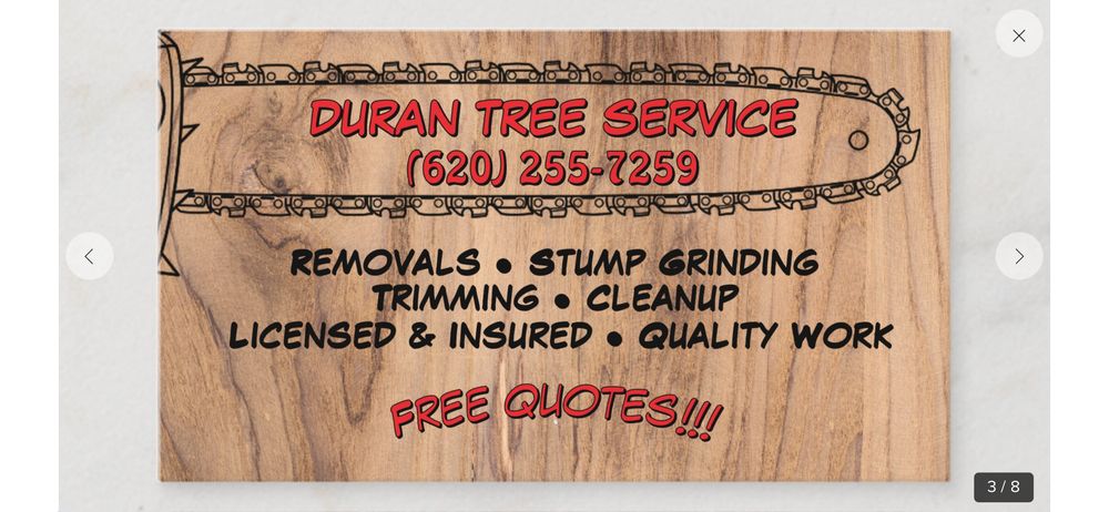 DURAN TREE SERVICE - Updated March 2025 - 5434 Wesley Rd, Tyrone ...