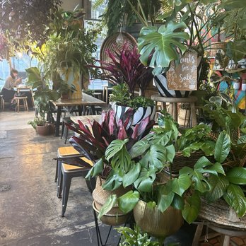 YUKO KITCHEN DTLA - Updated August 2024 - 1195 Photos & 566 Reviews ...