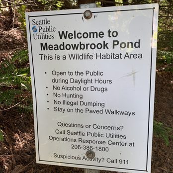 MEADOWBROOK POND - Updated December 2025 - 45 Photos - 35TH Ave NE ...