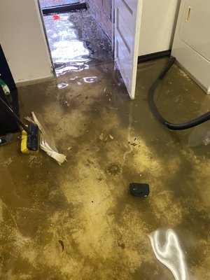 Roto-Rooter Plumbing & Water Cleanup - Updated December 2025 - 29 ...