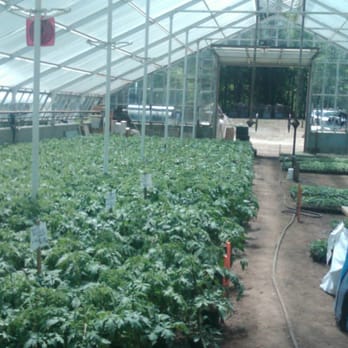 BERBERIAN’S FARM - Updated January 2026 - 15 Photos & 32 Reviews - 68 ...