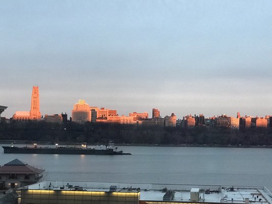 THE ALEXANDER - Updated September 2025 - 15 Photos - 100 Alexander Way ...