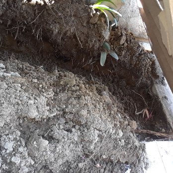 ANDRE LANDSCAPE SERVICE - Updated January 2026 - 26 Photos & 41 Reviews ...