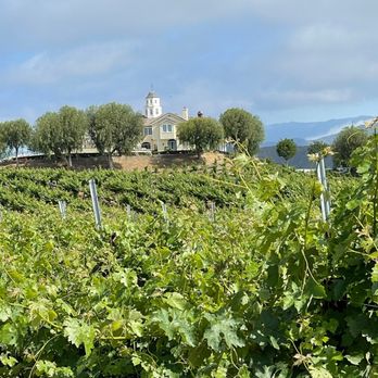 LEONESS CELLARS - Updated April 2024 - 2645 Photos & 2041 Reviews ...