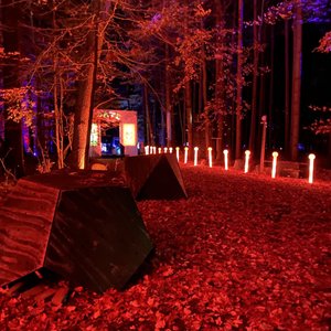 IFLY DETROIT - 59 Photos - 26975 Adell Center Dr, Novi, Michigan ...