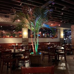 CABO - Updated June 2025 - 767 Photos & 823 Reviews - 3A N Park Ave ...