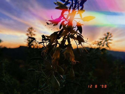 FRYMAN CANYON PARK - Updated October 2025 - 326 Photos & 119 Reviews ...